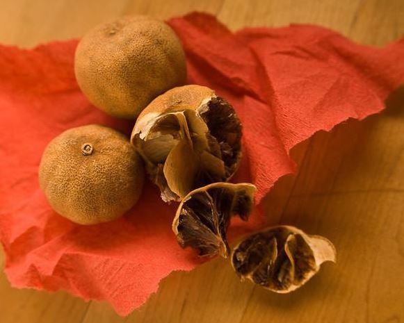 DAY 2 - Loomi– THE SPICE TRADER